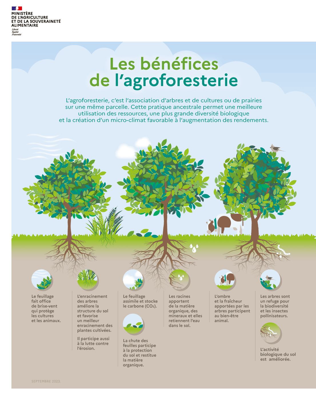 Infographie - Les bénéfices de l'agroforesterie | Ministère de l'Agriculture, de l'Agro ...